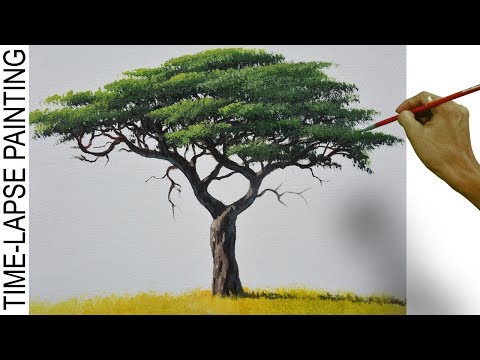 How to Draw a Acacia Tree Step by Step – I'm Youtuber – Follow my ...