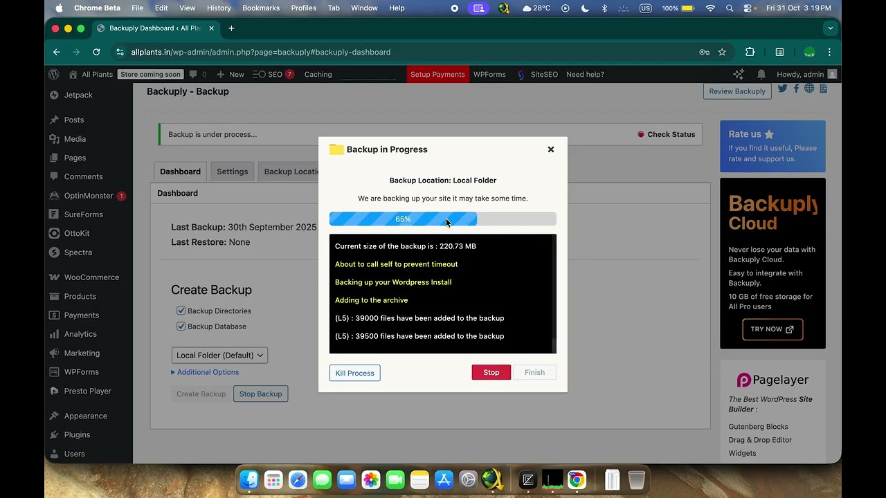 WordPress Backup Process - BackUply - WP All in One Backup