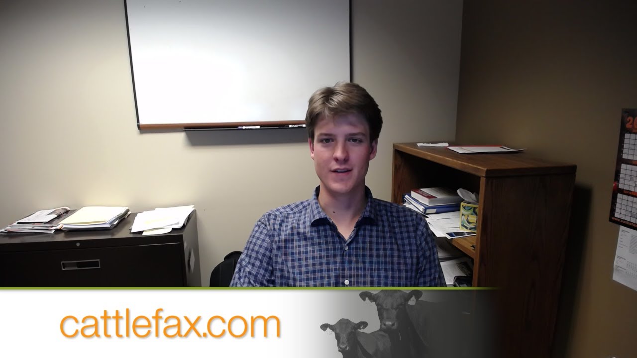 Opening Bell: October 6, 2025