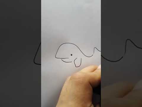 how to draw whaleπ #soniartz