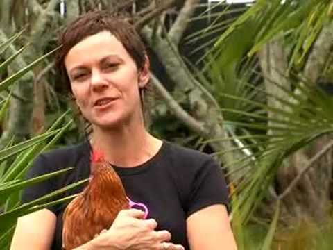 Vegan Profile: Amanda Sorrenson
