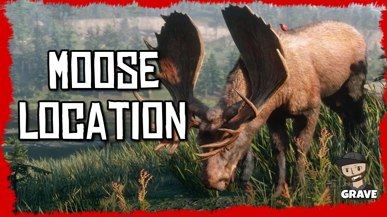 ⚡Red Dead Online Moose Spawn Location