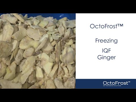 OctoFrost™ IQF Ginger - IQF Freezer Benefits