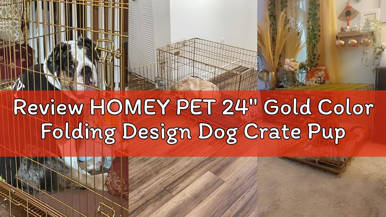 Review HOMEY PET 24