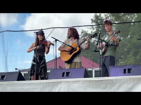 Clifftop 2024 - Polecat Blues - Veggie Chitlins