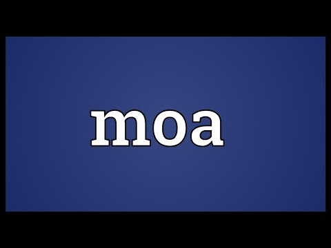 Moa Meaning