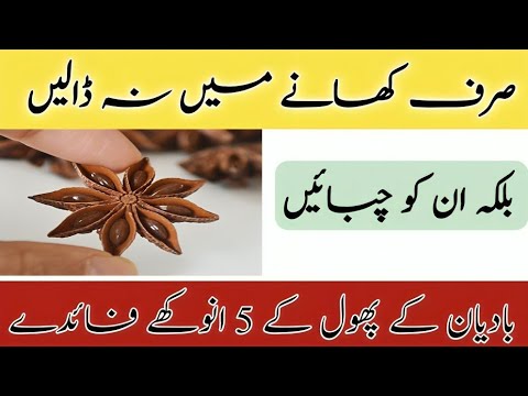 Badian khatai 5 Benefits | Star anise Benefits