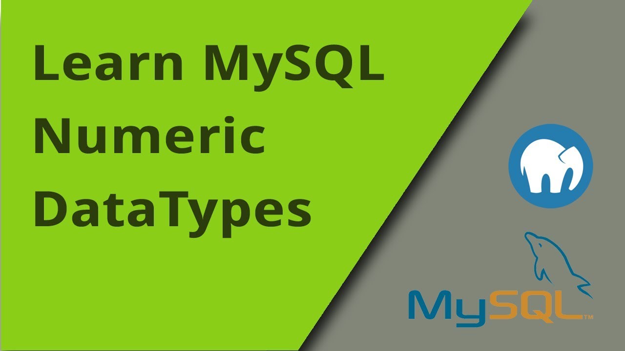 Learning MySQL - Numeric DataTypes