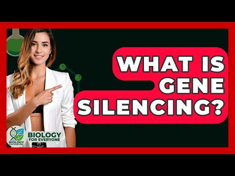 What Is Gene Silencing? - Biology For Everyone