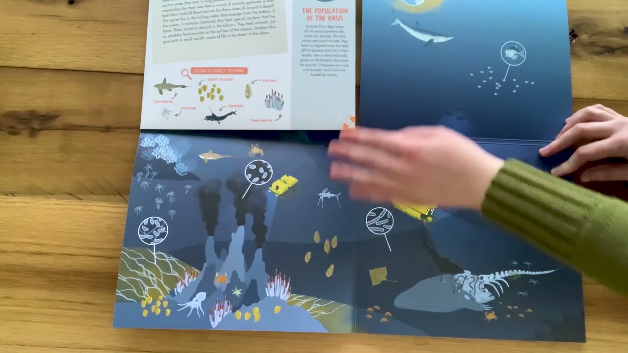The Sea Flip-Through Video