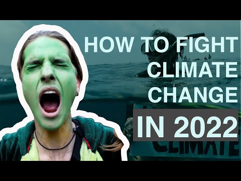 Top 3 Ways to Fight Climate Change in 2022