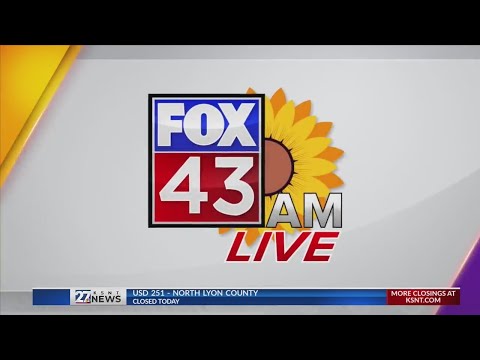 Fox 43 AM live Ask Your Local Electrician 011124