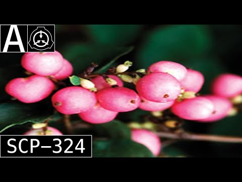 SCP-324 "Eulogy Shrub" [SCP Wikidot]