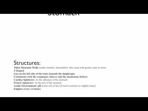 Digestion Pt 2b - Biology 12