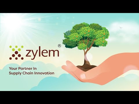 🌟 Zylem Software: Revolutionizing Business Efficiency with Seamless Workflow Automation 🌟