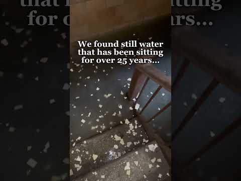 Still water that has been sitting for over 25 yearsā¦