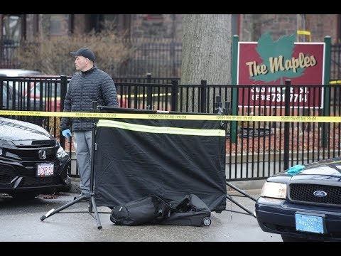 Homicide investigation: Deceased male found underneath vehicle at Springfield apartment complex