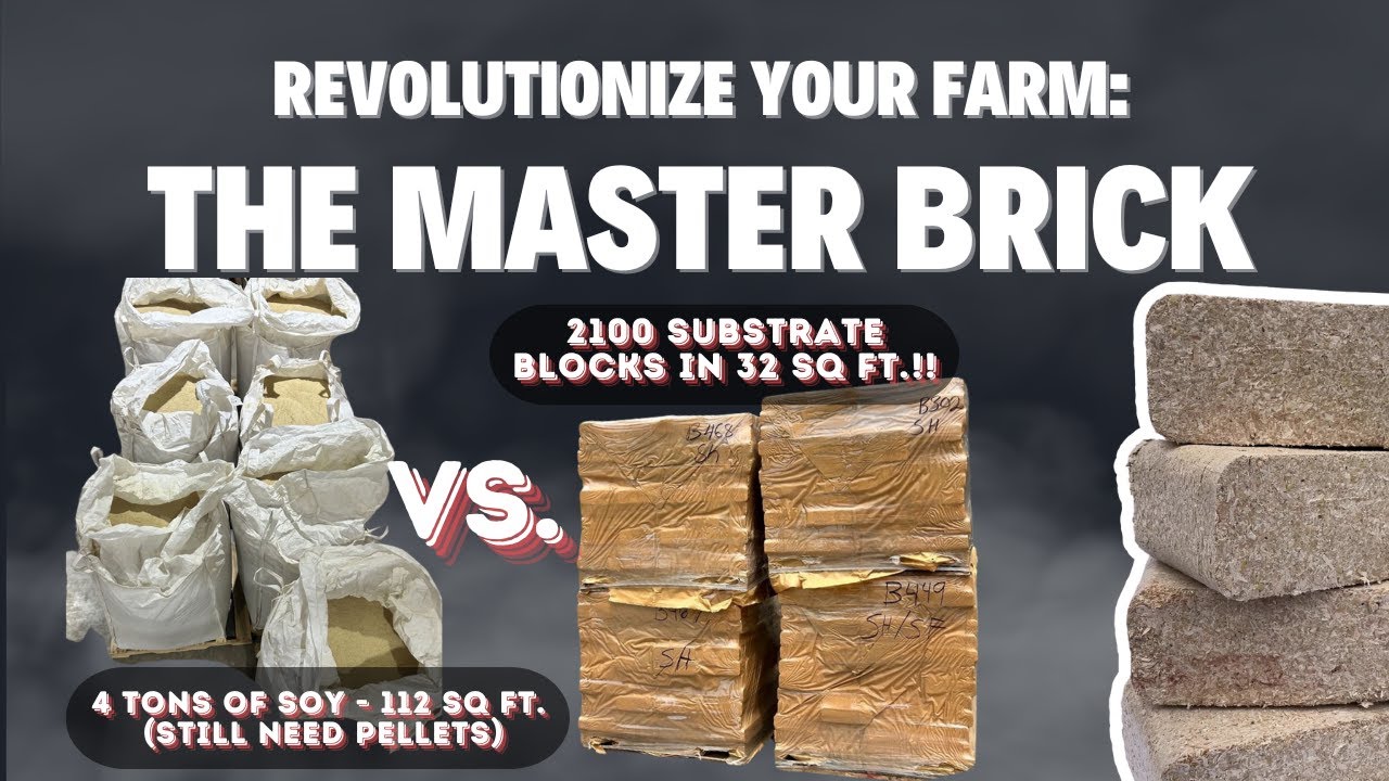 Changing farming for good? WHAT IS A MASTER BRICK? FAQ and Details!
