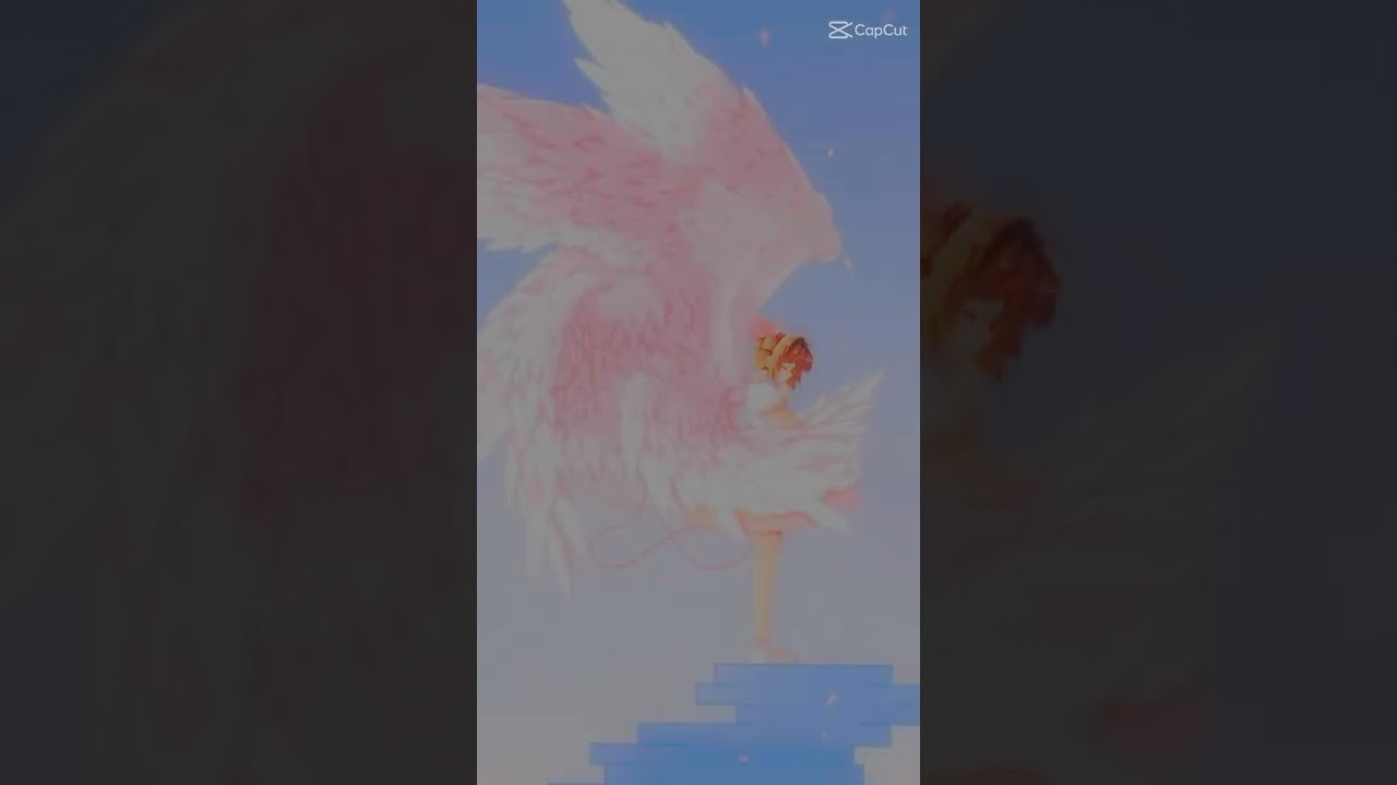 cardcaptor Sakura | Sakura kinomoto