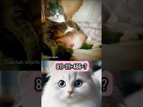 FAT CAT AURA… 😅😂 || cat bombastic #shorts #memes #trollface