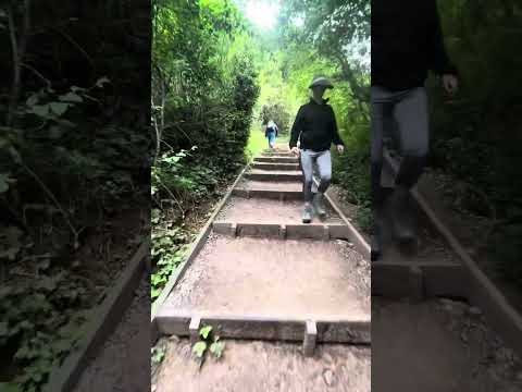 Box hill 2025 uk hiking