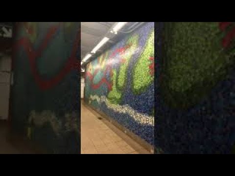 🎶 MTA NYC SUBWAY ART 🎶