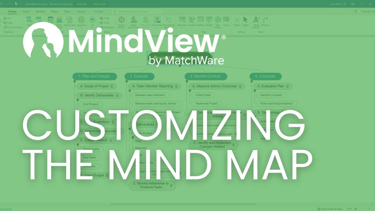 MindView 9 - Customizing the Mind Map