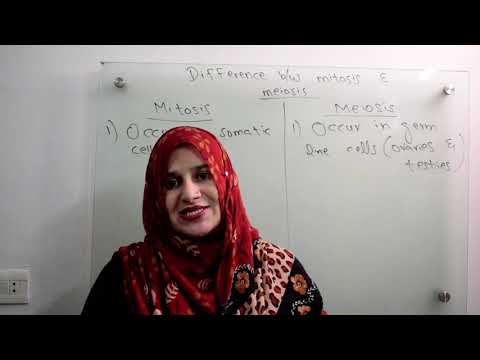 Class 9|| CHP 5|| Difference Between Mitosis & Meiosis