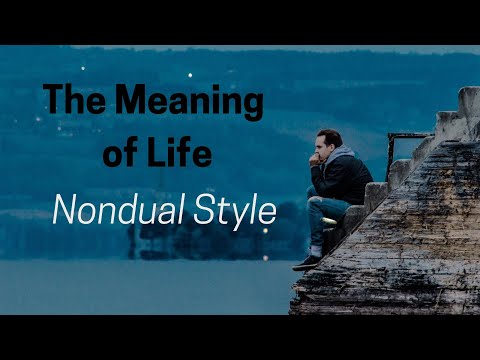 The Meaning of Life Nondual Style