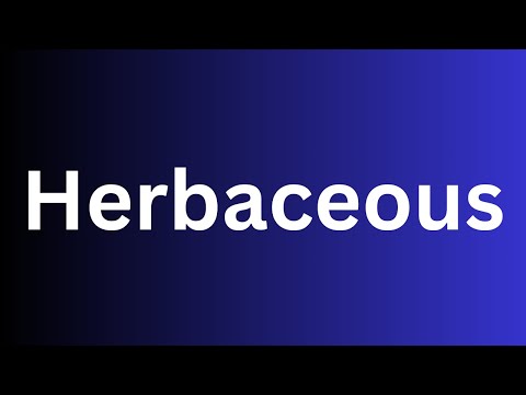 How to pronounce Herbaceous perfectly? How to say Herbaceous? How to speak Herbaceous?