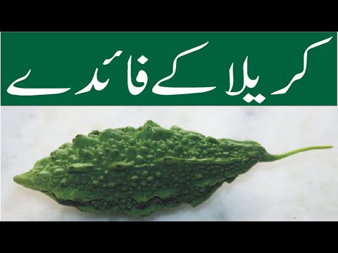 Karela ke fayde in urdu | Bitter gourd benefits in urdu