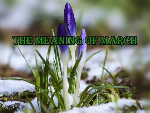 The Meaning of March