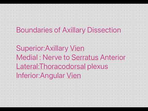 Educational video on boundaries of axillary dissection