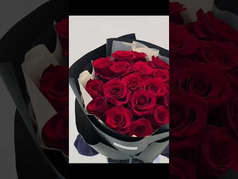 Fervent Red Roses