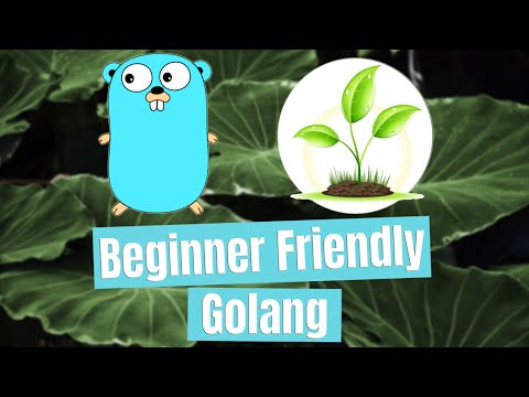 Golang Documentation - Beginner Friendly Golang