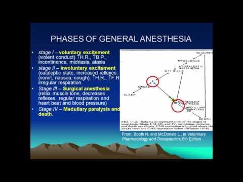 Basic principles of anesthesia