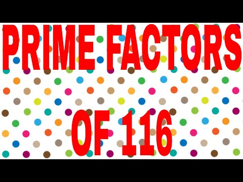 PRIME FACTORS OF 116