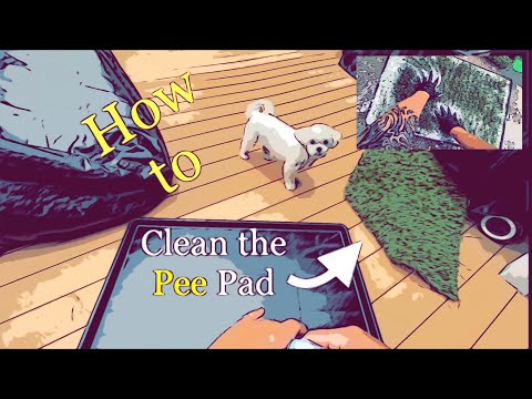 How to/How i | CleanPuppy Potty Training Pee Pad | Travel Pad | Artificial Grass ????
