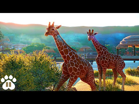 The PC You NEED to Play Planet Zoo (& My Setup)