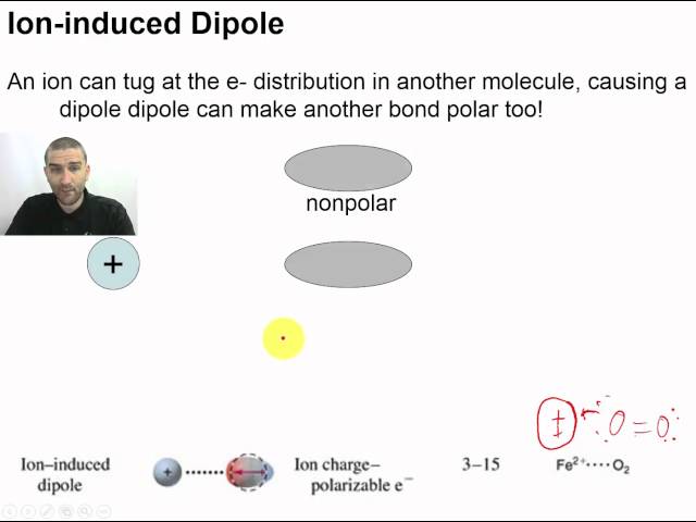 Understanding Ion-Induced Dipole Interactions: A Comprehensive Guide ...