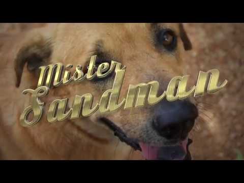 Mister Sandman