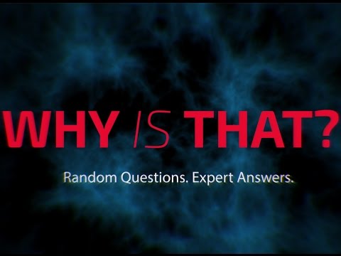 Why do doctors wear white lab coats?
