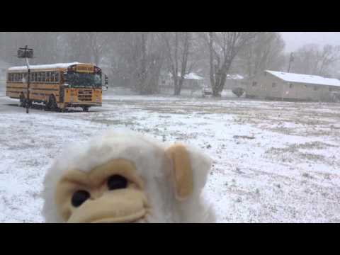 Wednesday Monkey | The Recovering Legalist