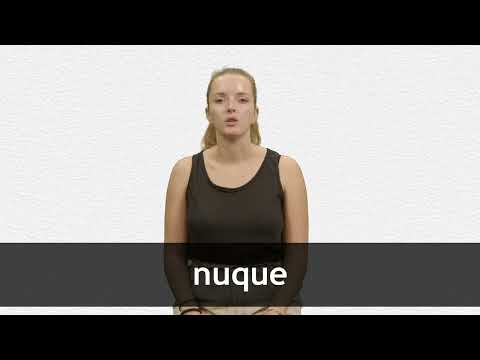 English Translation of “NUQUE” | Collins French-English Dictionary