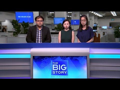 THE BIG STORY: Hong Kong election results | K-Pop idol Goo Hara found dead | Fake news law invoked
