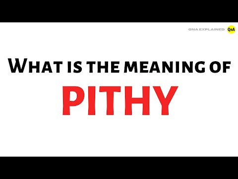 What is the meaning of pithy ? - QnA Explained
