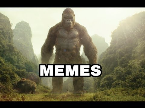 OK SO BASICALLY IM MONKY MEMES COMPILATION