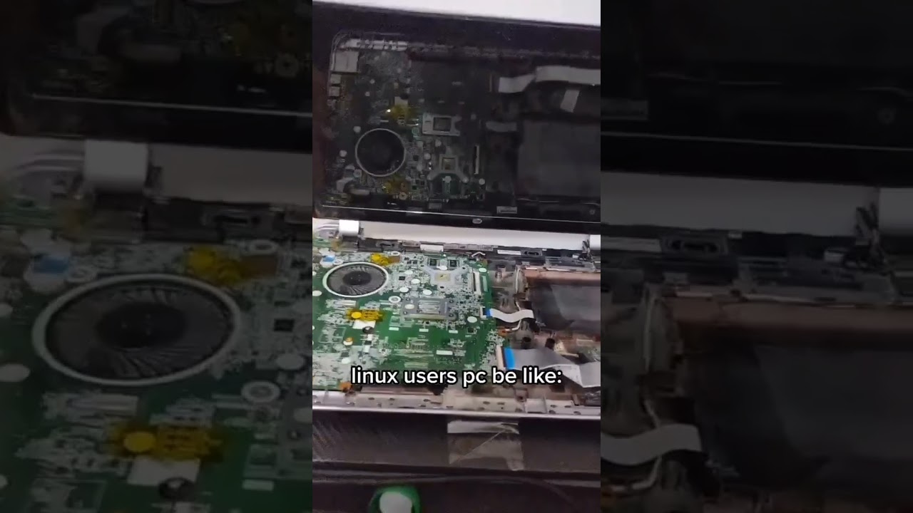 Linux user be like:#funny #funnyvideo #linux #pc #laptop