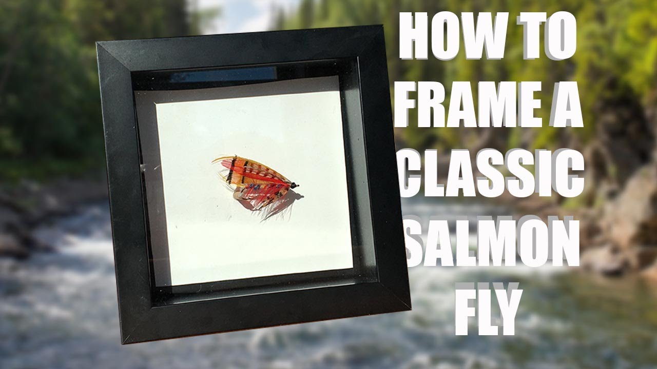 How to frame a classic salmon fly (Works with any fly)| DIY Fly Tying Shadowbox