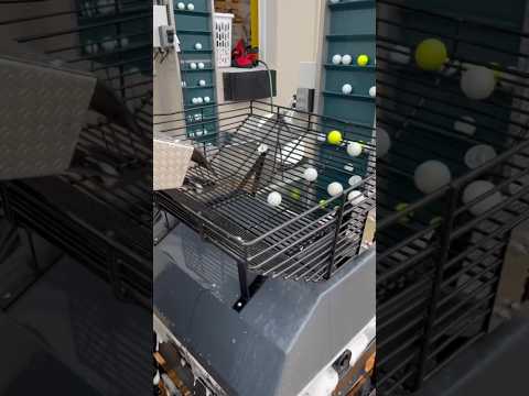 How do we clean the golf balls?๐งผ